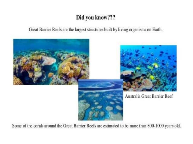 Life underwater | PPTX