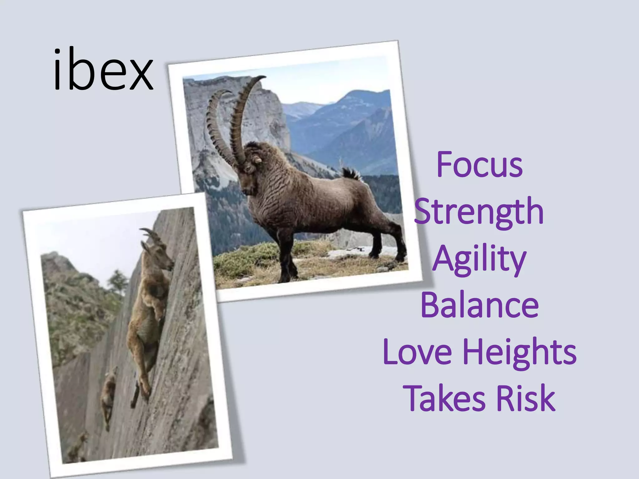 Life Experiences Lesson Learnt | PPTX