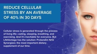 Nrf2 Synergizer | PPT