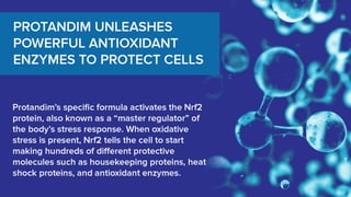 Nrf2 Synergizer | PPT