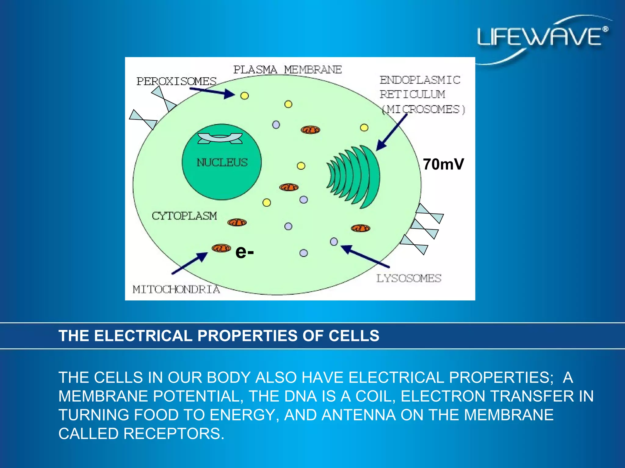 LifeWave Presentation ( English language ) | PPT