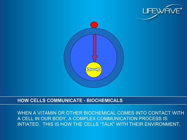 LifeWave Presentation ( English language ) | PPT