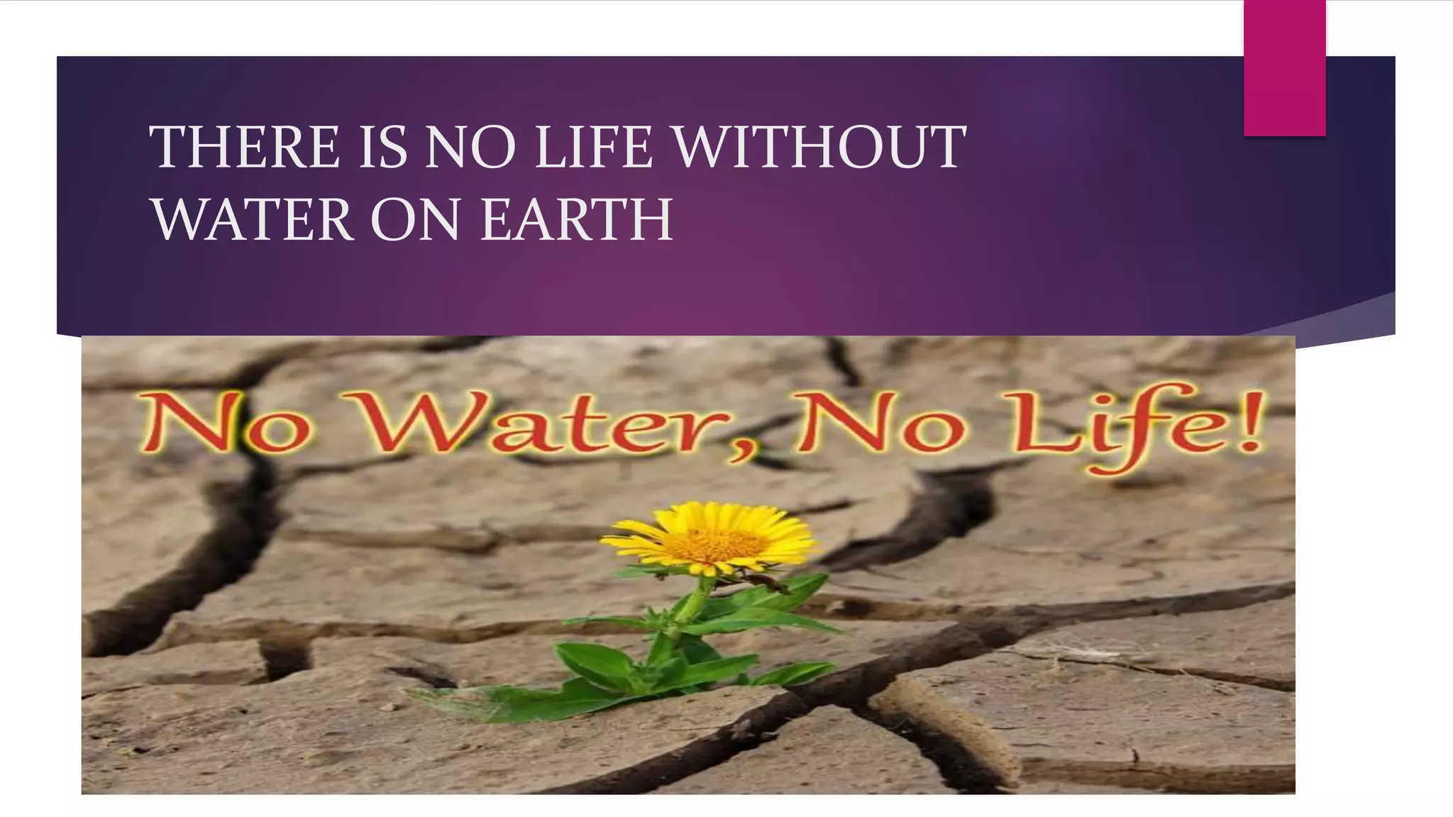 LIFE WITHOUT WATER.pptx