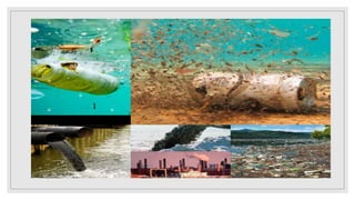 Life Without WATER.pptx