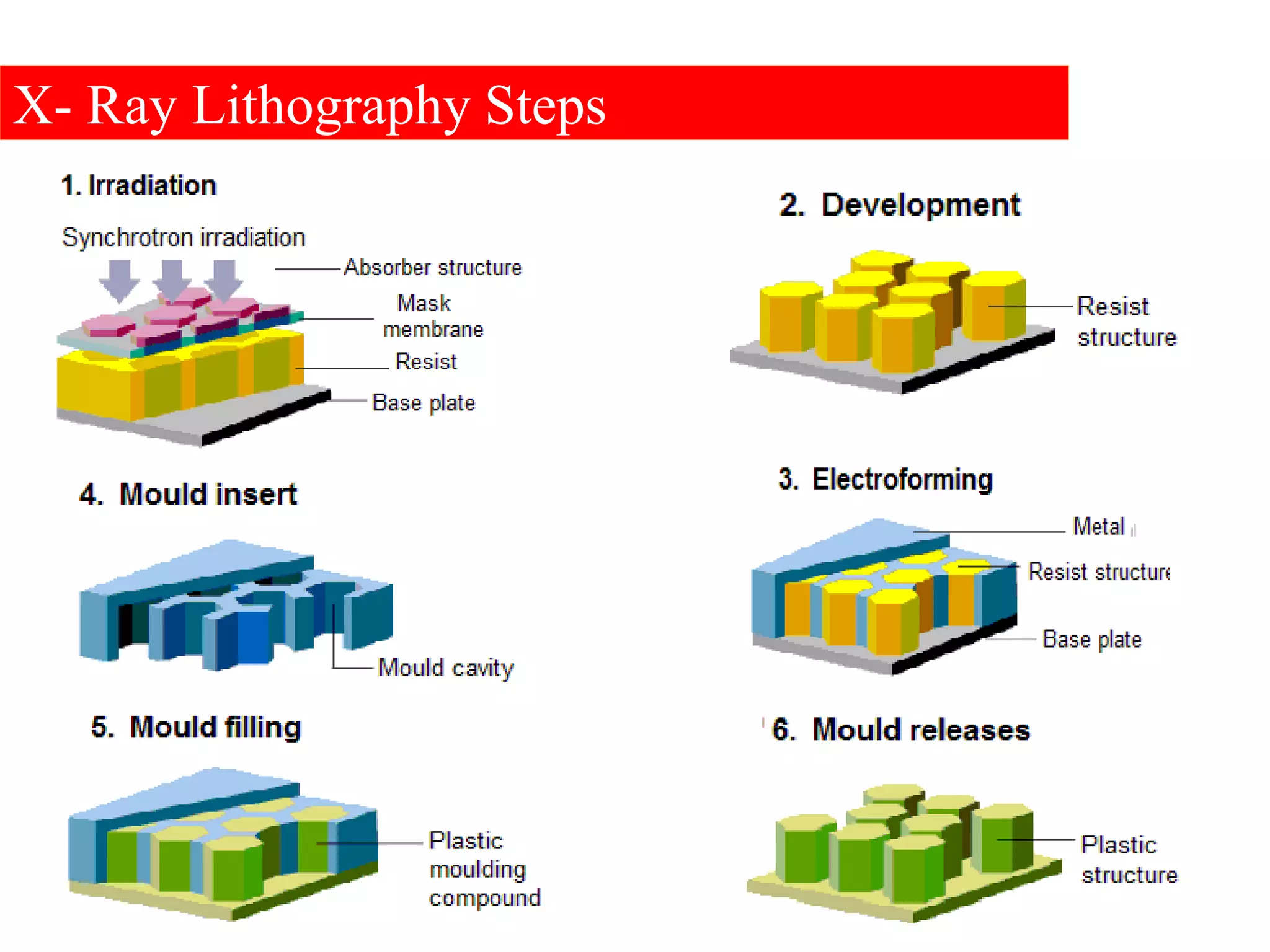 LIGA Process | PPTX