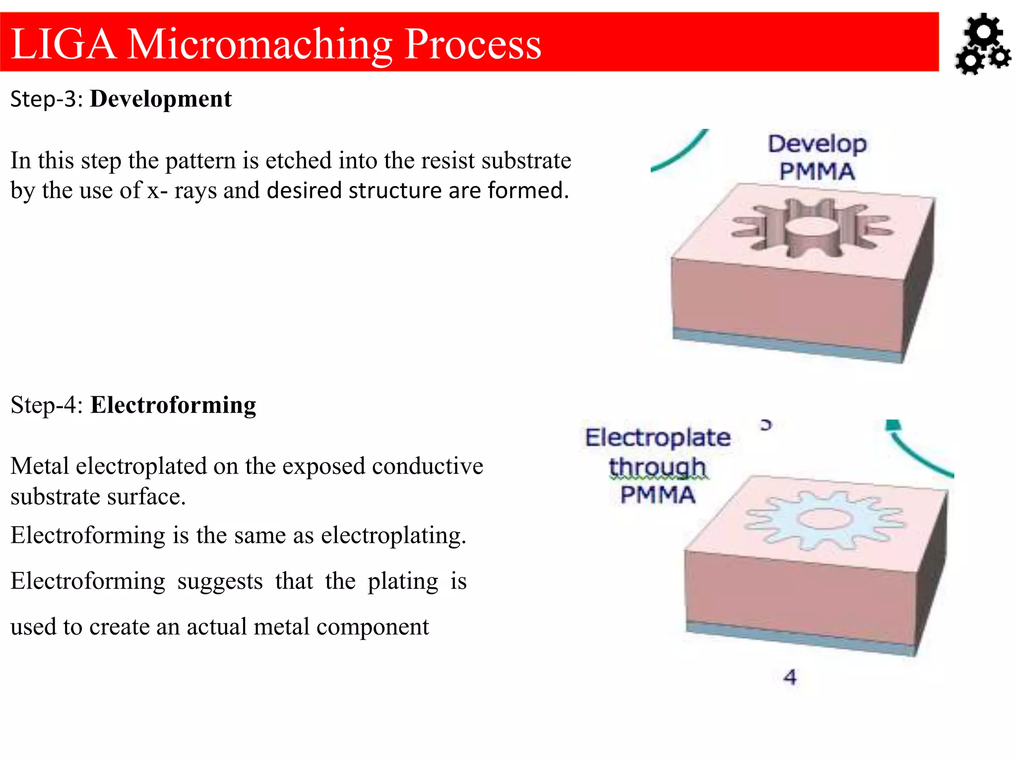 LIGA Process | PPTX