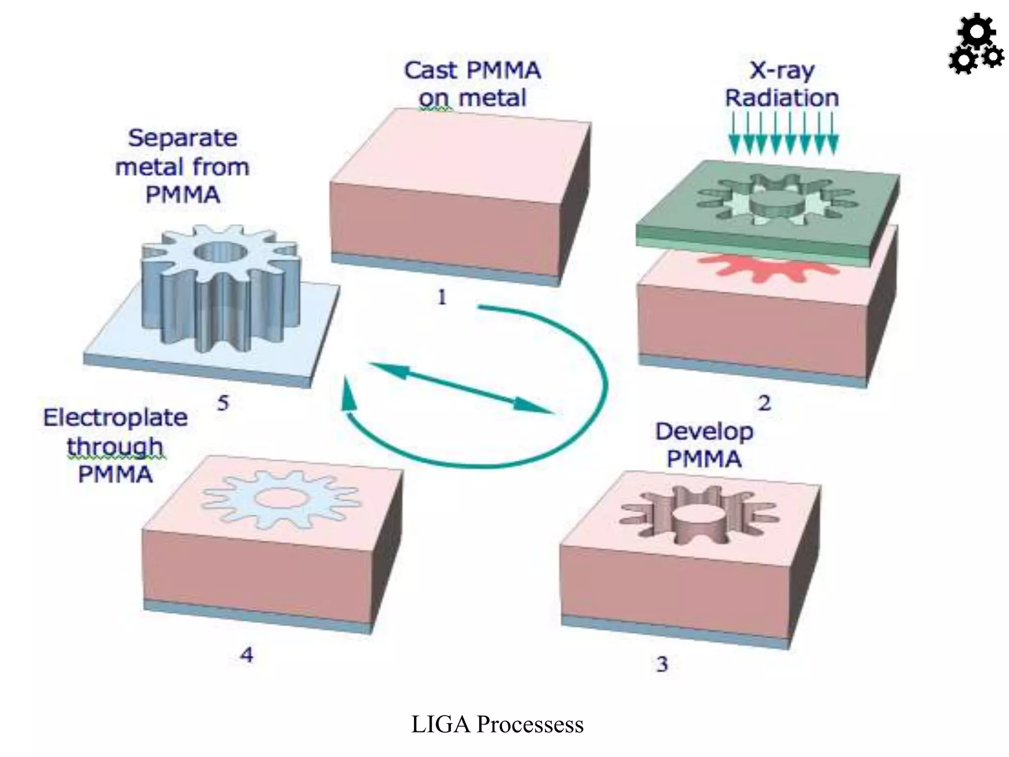 LIGA Process | PPTX