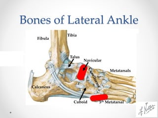 Ligament injury around ankle.pptx