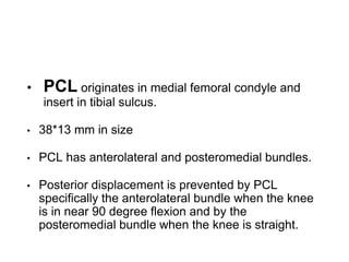 Ligament injury to knee: ACL | PPTX