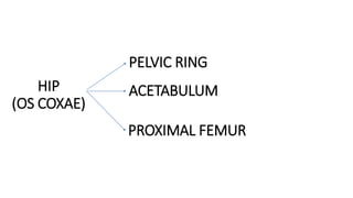 Ligament Os Coxae.pptx