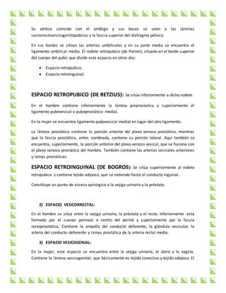 LIGAMENTOS DE LA PELVIS ESPACIO PELVISSUBPERITONEAL PERINE | DOCX