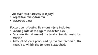 A lecture about Ligaments and tendons .pptx