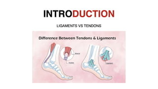 A lecture about Ligaments and tendons .pptx