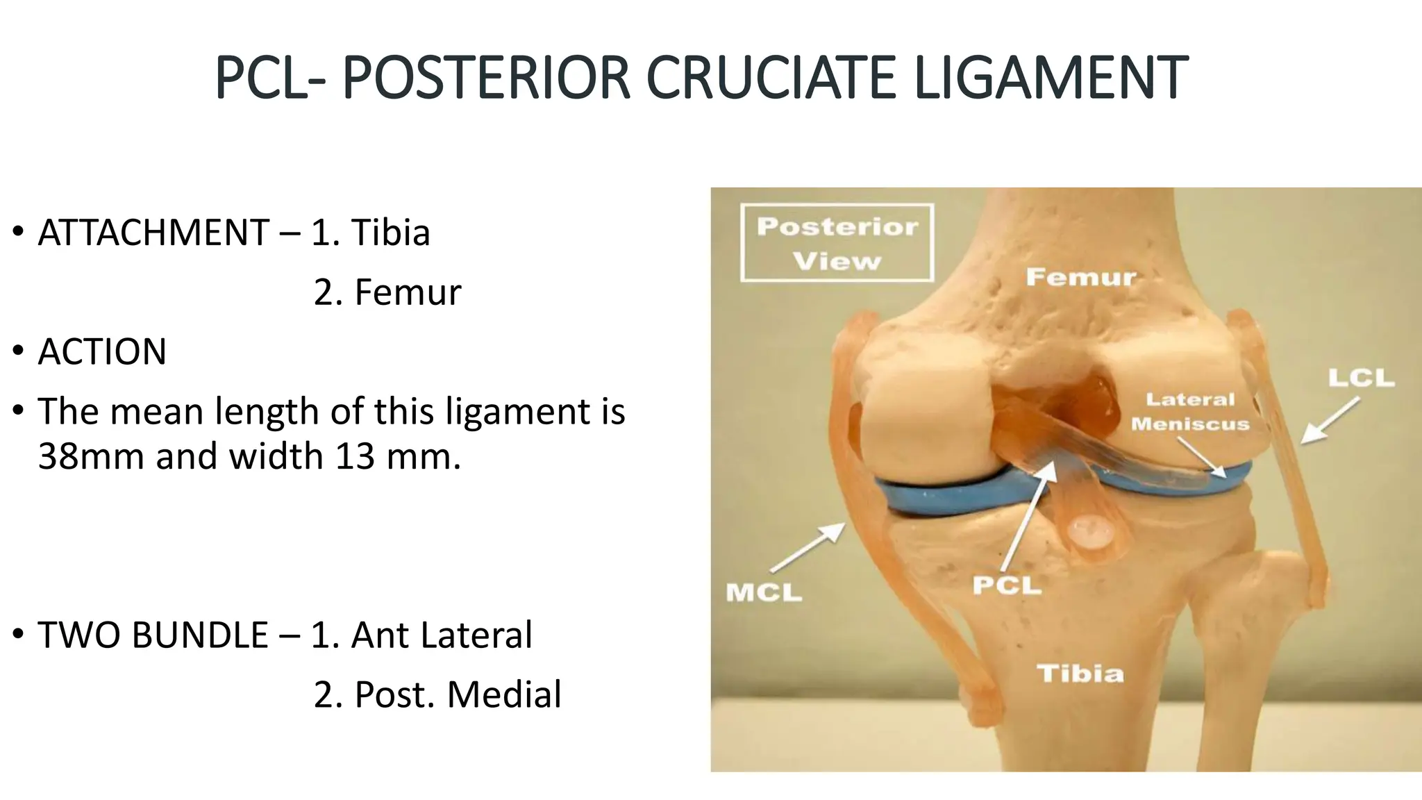 LIGAMENTS INJURIES AROUND KNEE.pptx