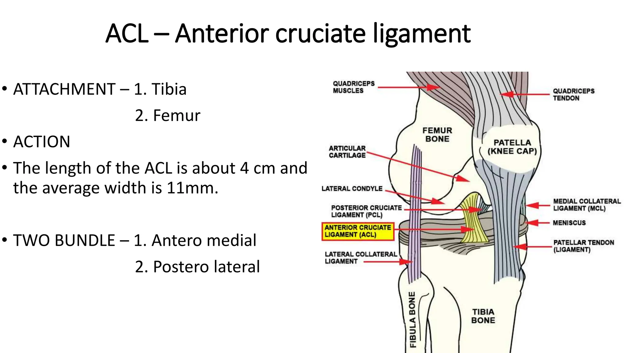LIGAMENTS INJURIES AROUND KNEE.pptx