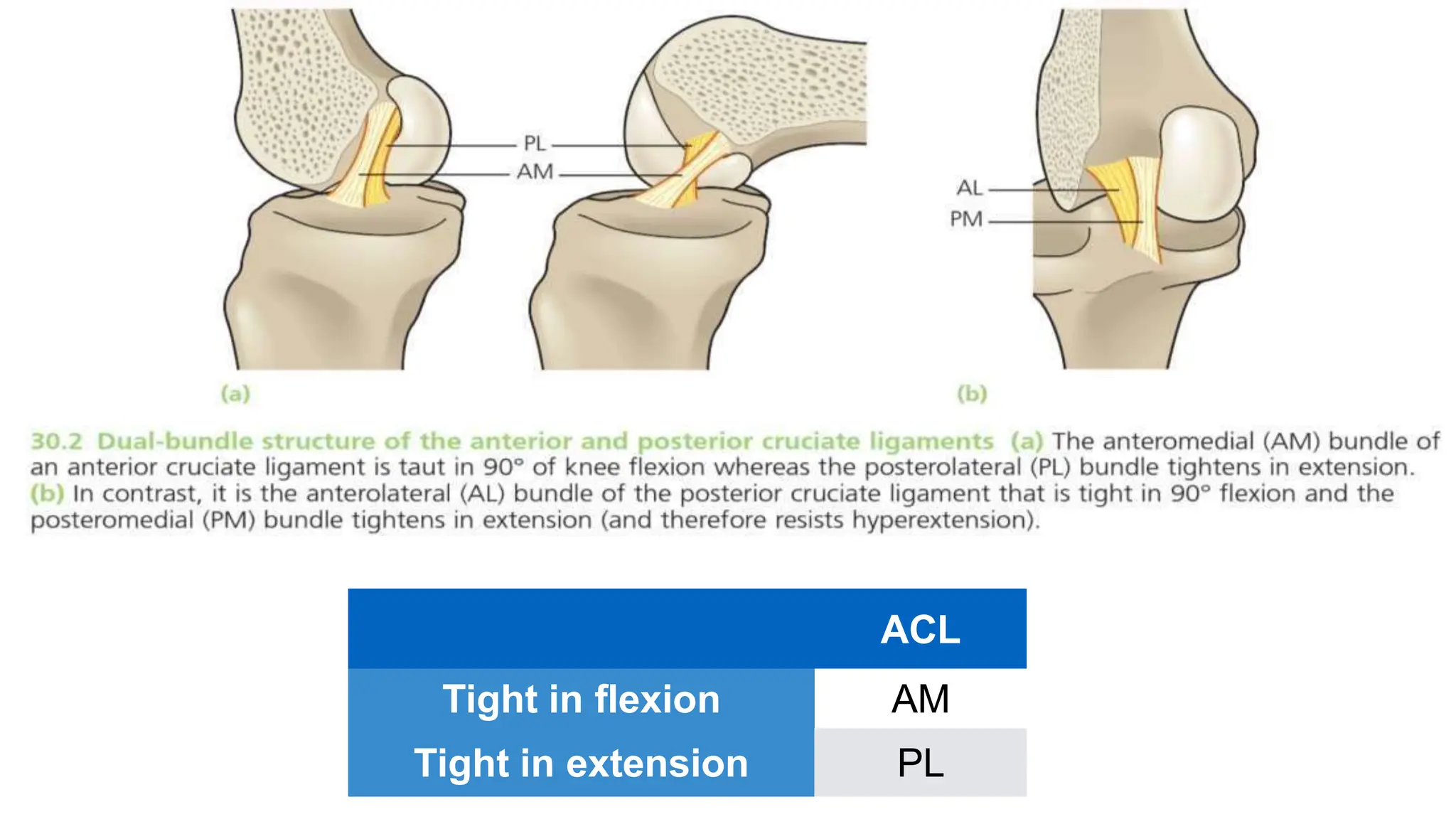 LIGAMENTS INJURIES AROUND KNEE.pptx