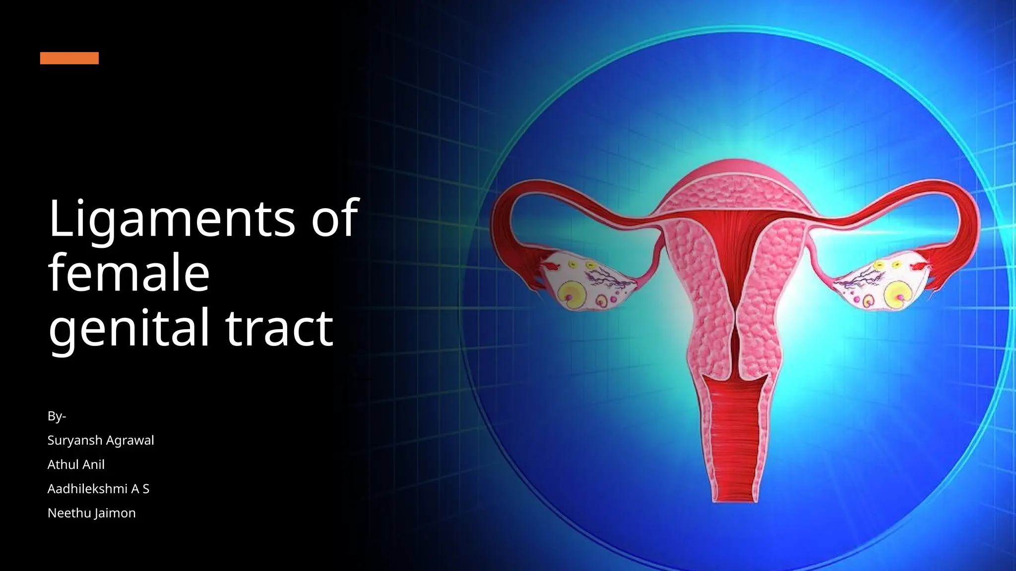 Ligaments of female genital tract .pptx