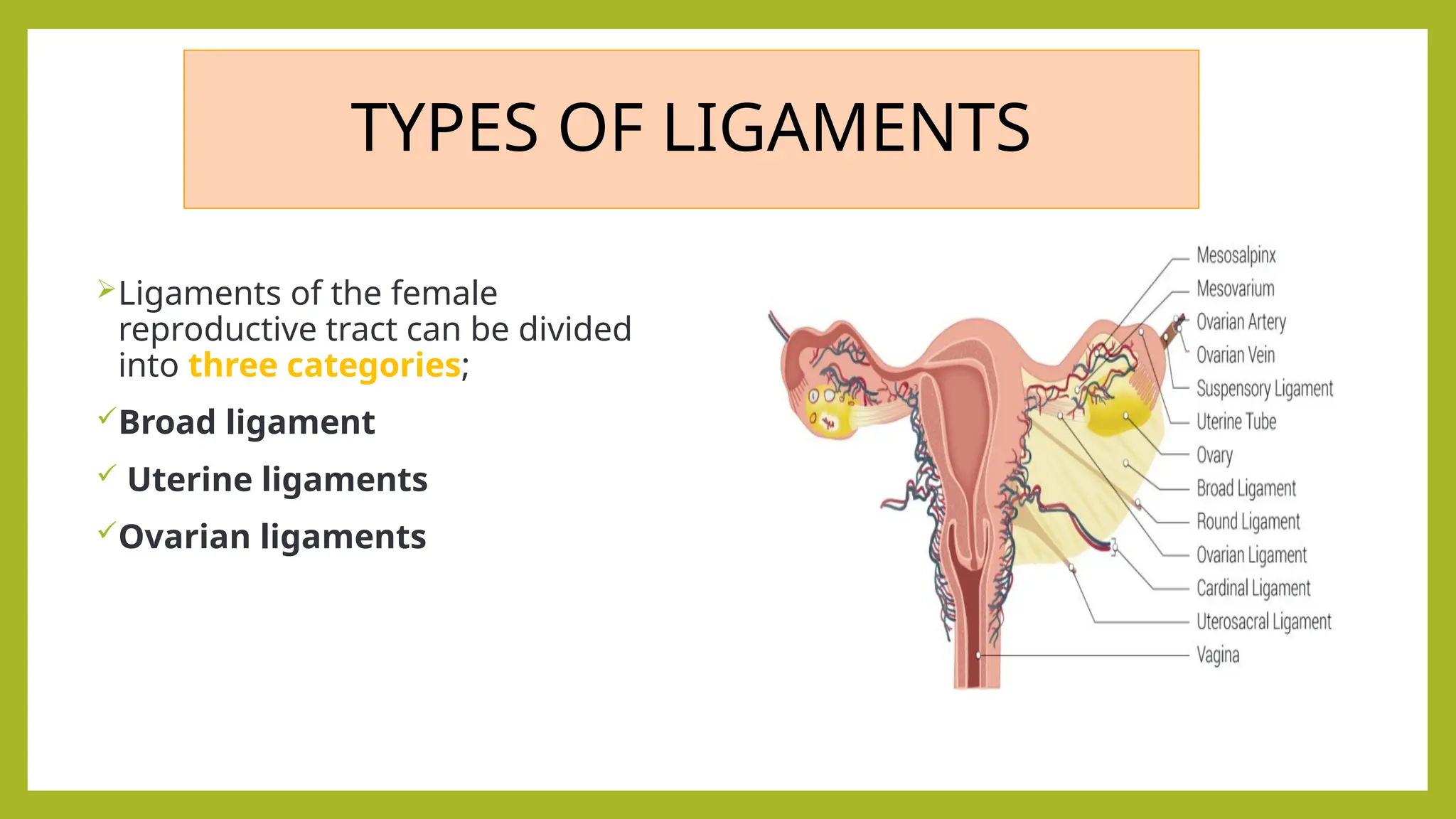 Ligaments of female genital tract .pptx
