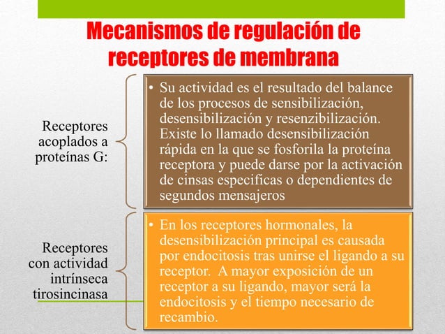 Ligando receptor fase ii | PPTX