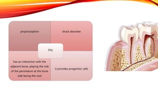 Ligaplants, the next‑generation prosthodontic implants | PPTX