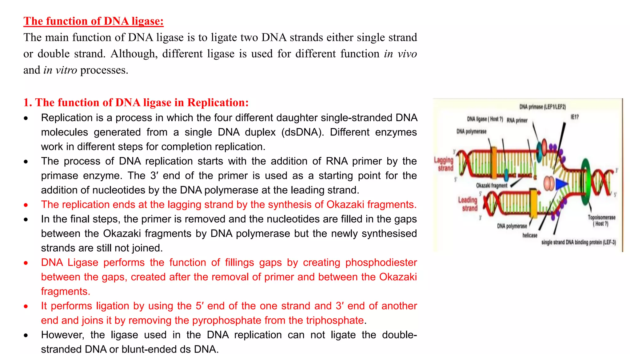 Ligase enzyme | PDF