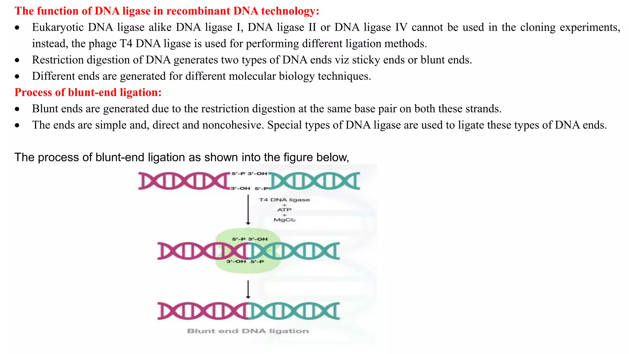Ligase enzyme | PDF