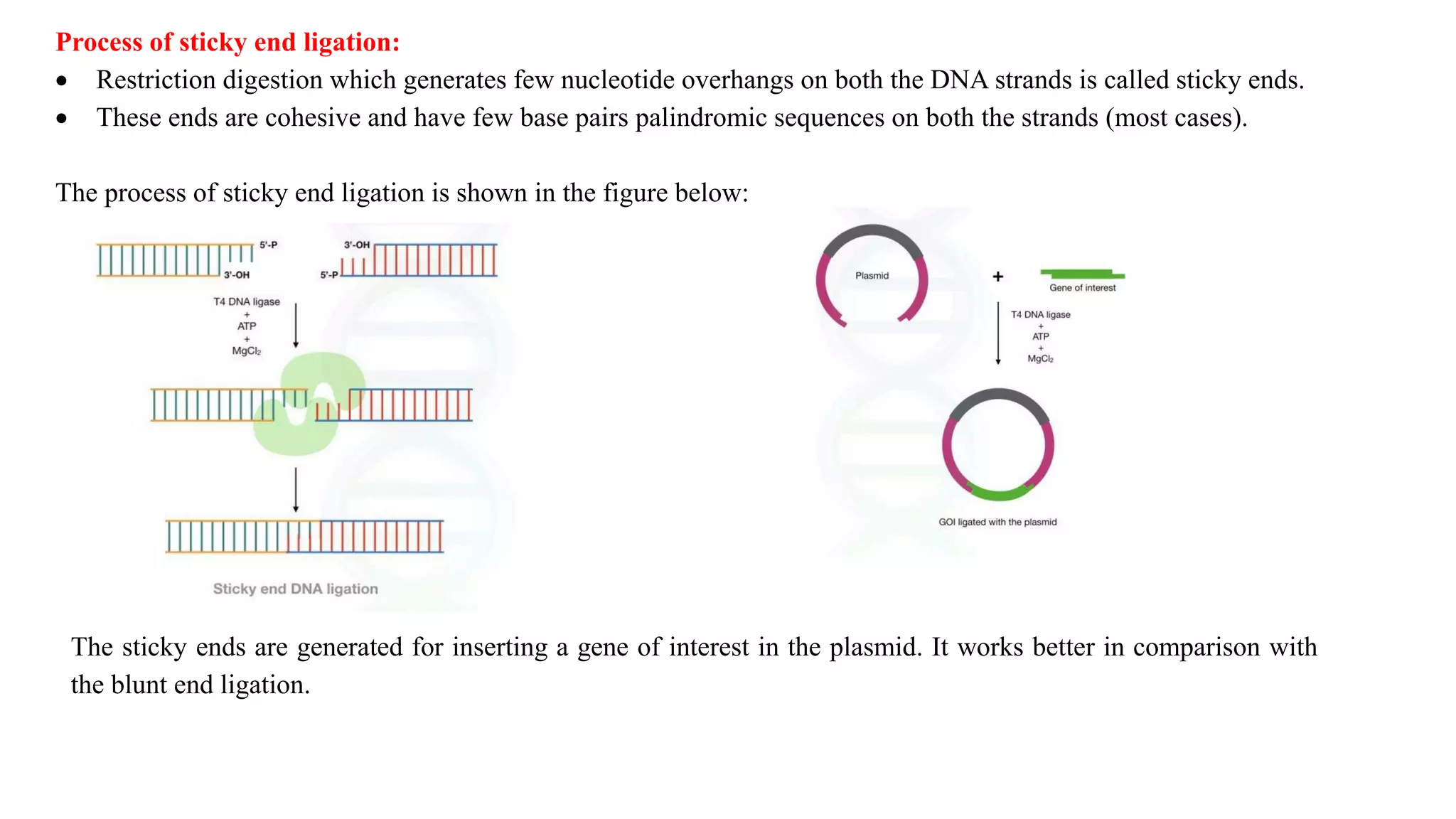Ligase enzyme | PDF