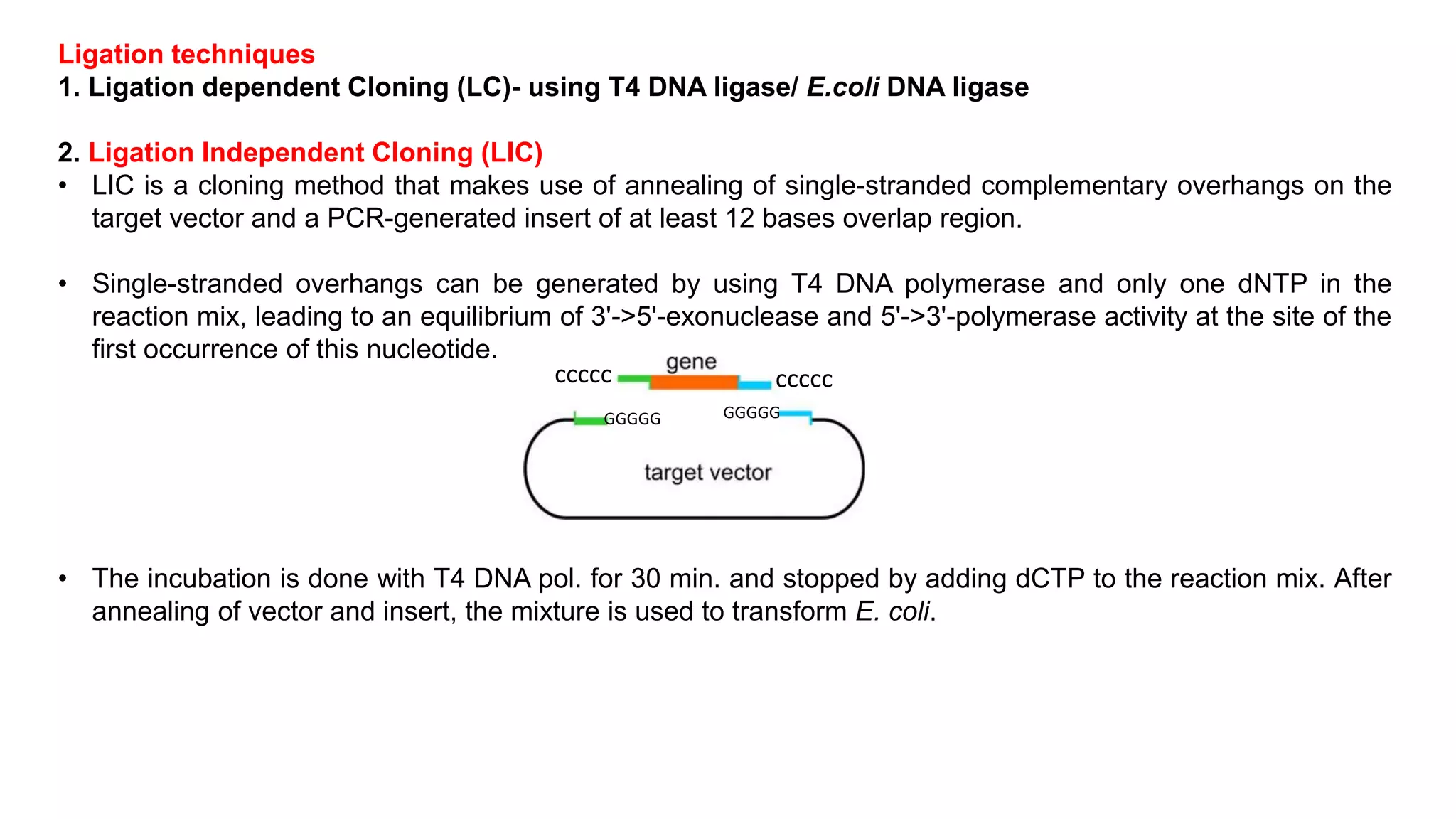 Ligase enzyme | PDF