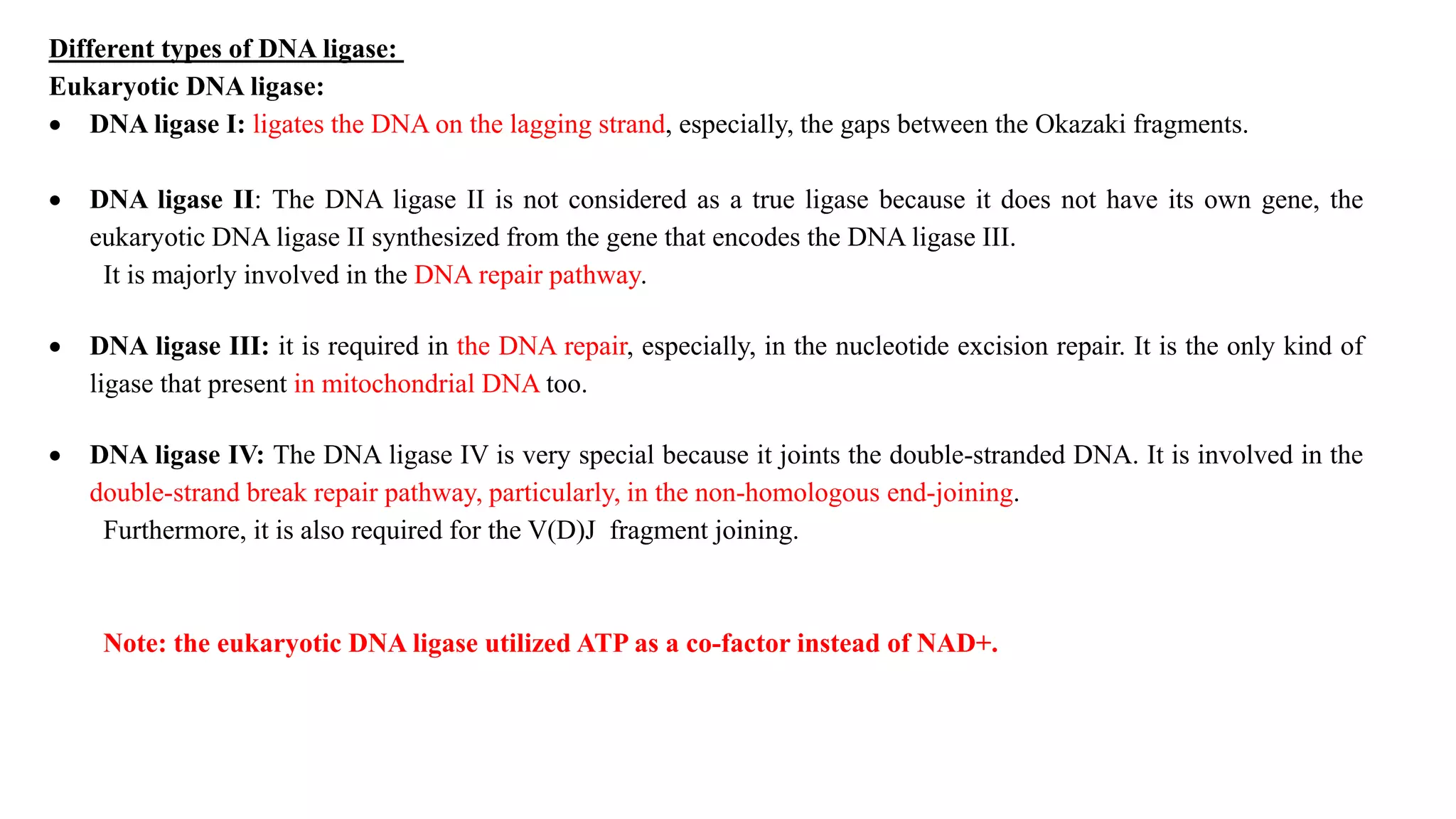 Ligase enzyme | PDF