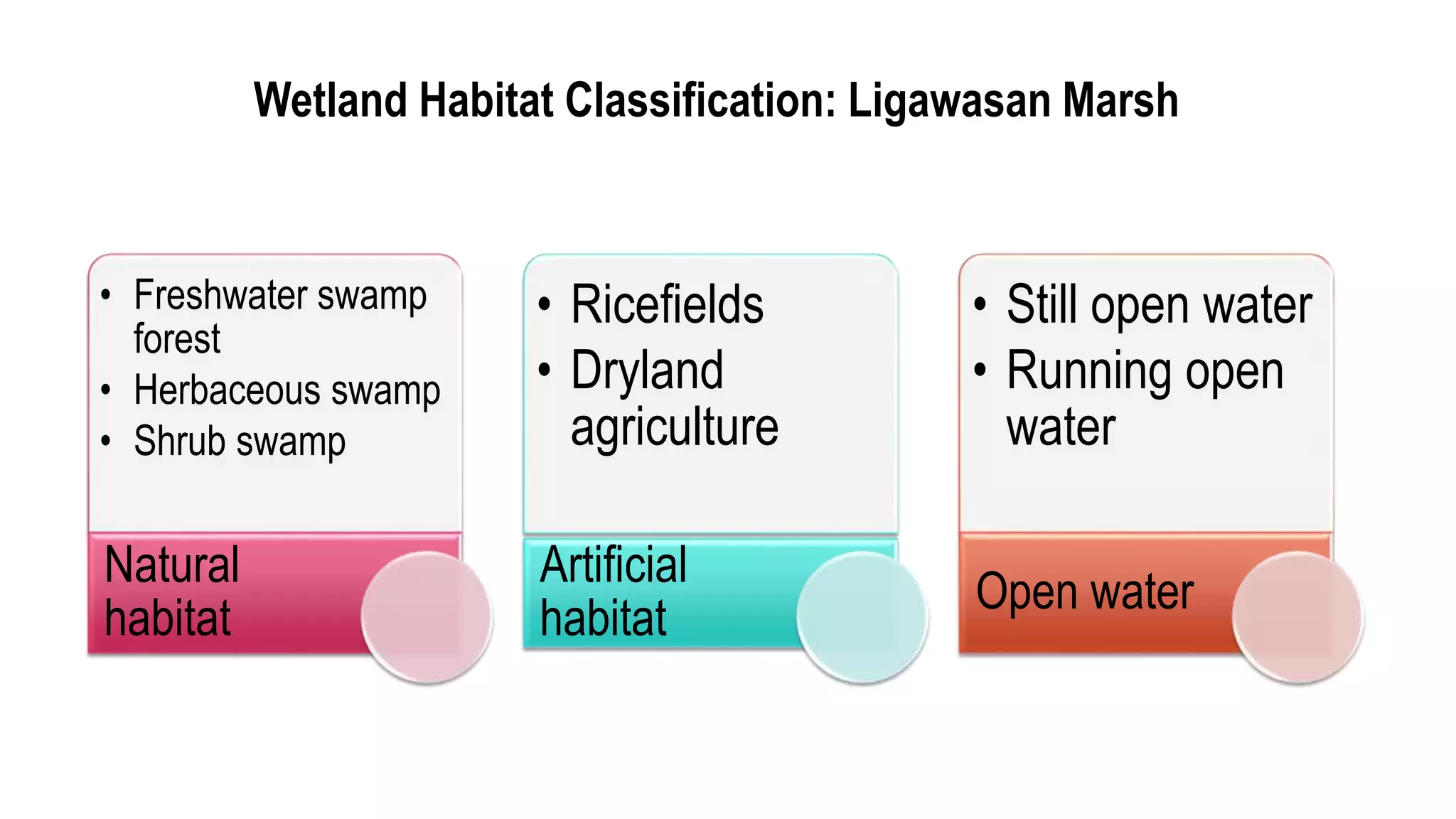 The Ligawasan Marsh: Ecosystem Health, Threats and Conservation | PPTX