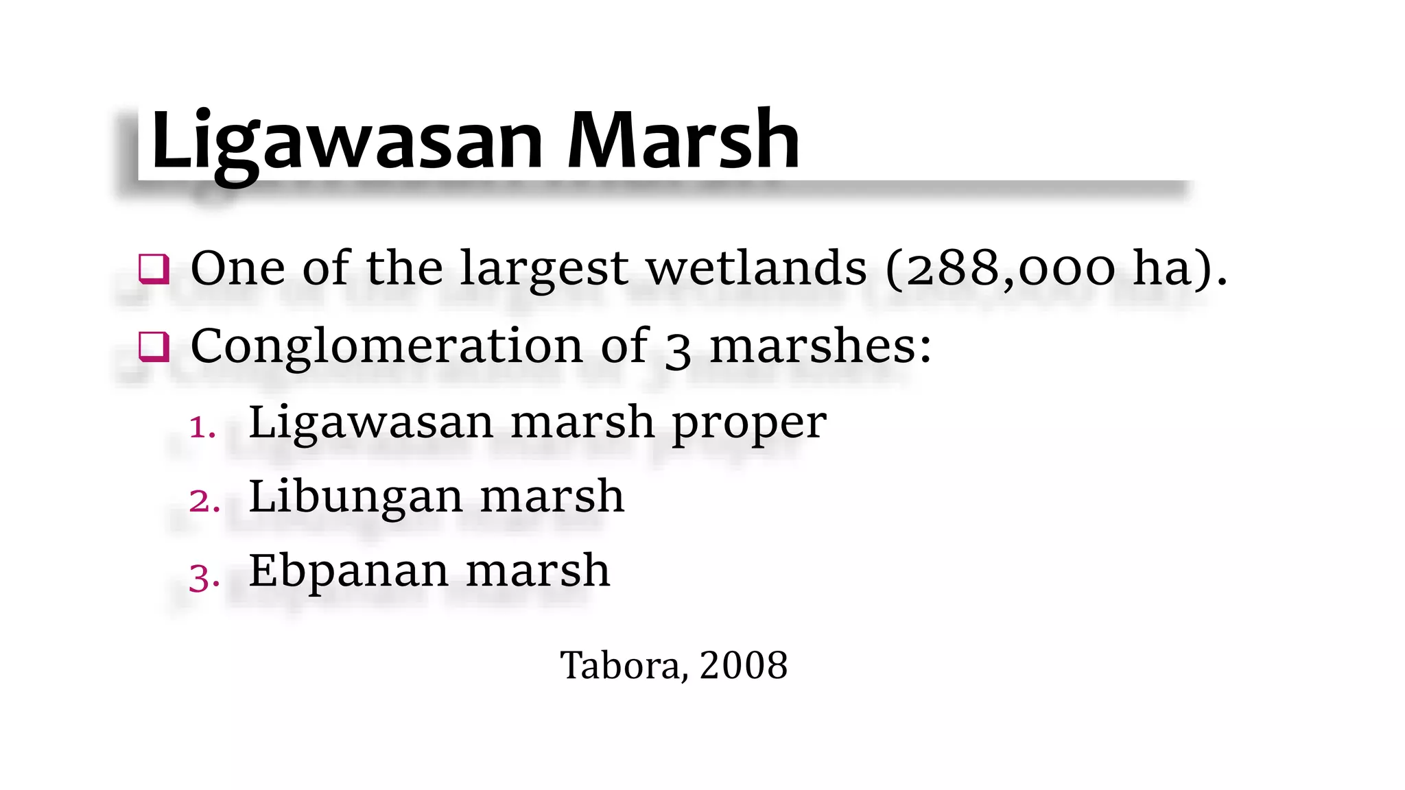 The Ligawasan Marsh: Ecosystem Health, Threats and Conservation | PPTX