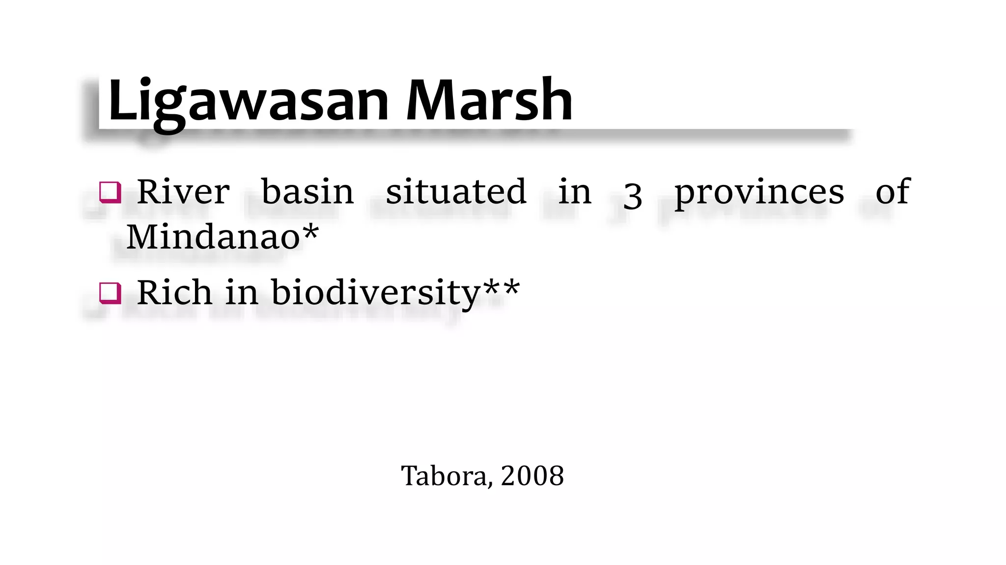 The Ligawasan Marsh: Ecosystem Health, Threats and Conservation | PPTX