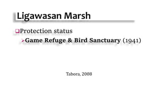 The Ligawasan Marsh: Ecosystem Health, Threats and Conservation | PPTX