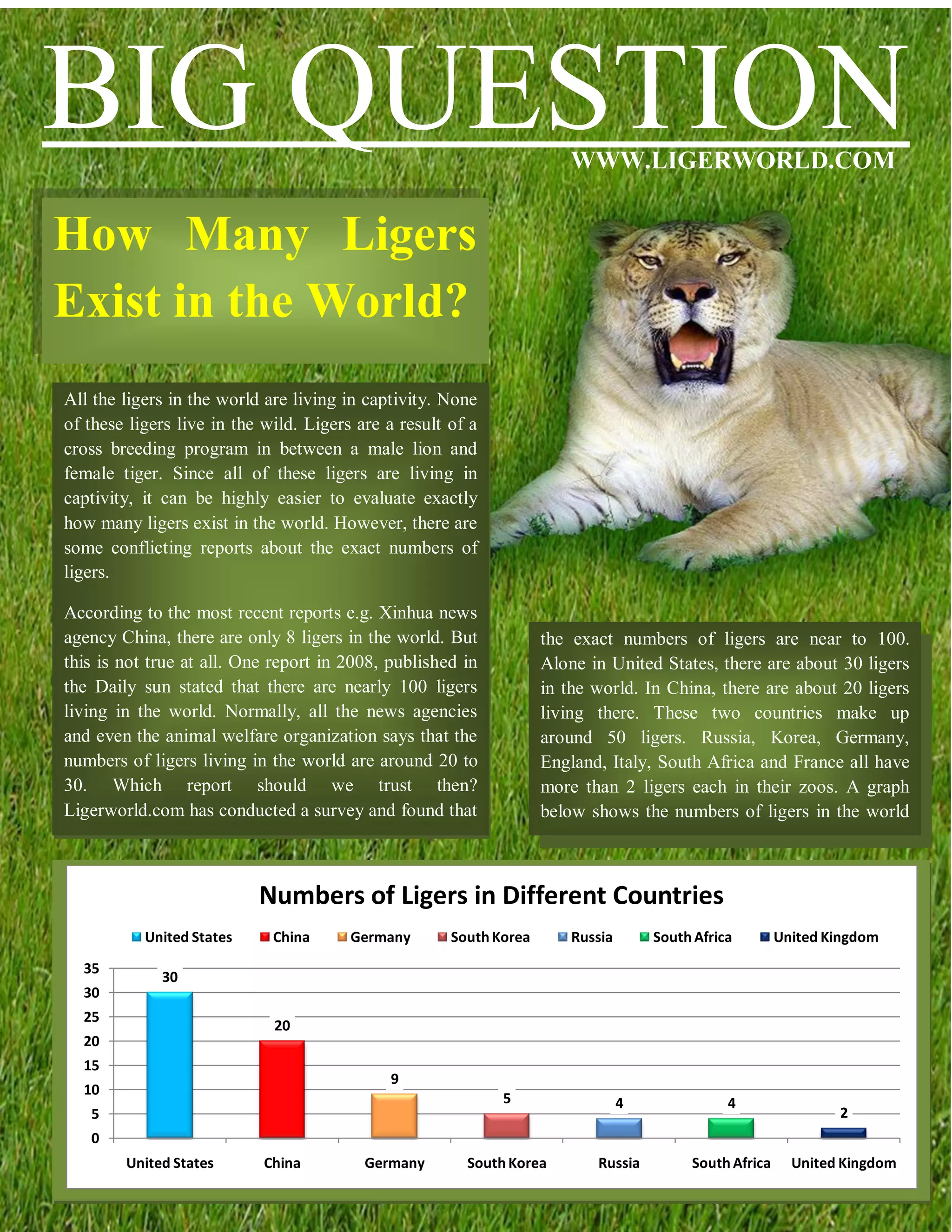 Liger magazine - www.ligerworld.com | Dogs | Pets