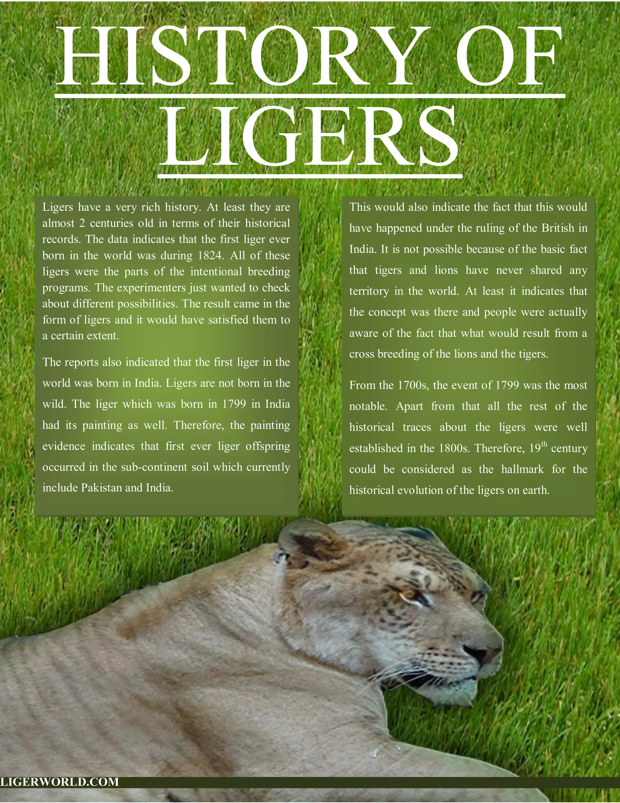 Liger magazine - www.ligerworld.com | Dogs | Pets