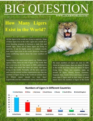 Liger magazine - www.ligerworld.com