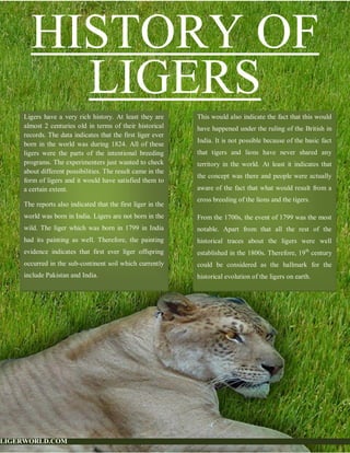 Liger magazine - www.ligerworld.com