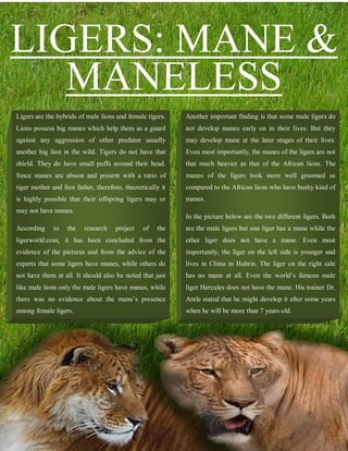 Liger magazine - www.ligerworld.com | Dogs | Pets