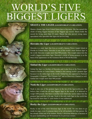 Liger magazine - www.ligerworld.com