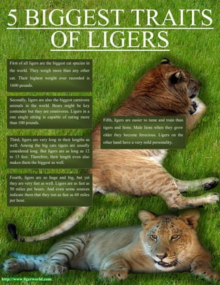 Liger magazine - www.ligerworld.com | Dogs | Pets