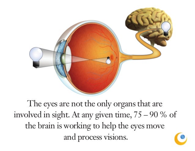 Eye Facts