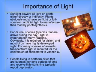 Light | PPT