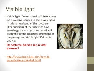 Light Properties | PPTX