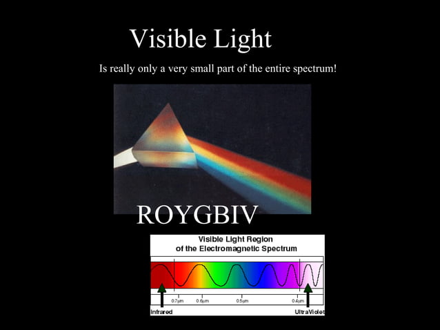 Light PowerPoint | PPT