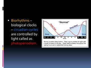 Light: Ecological Parameter and Its Impact on Animals | PDF