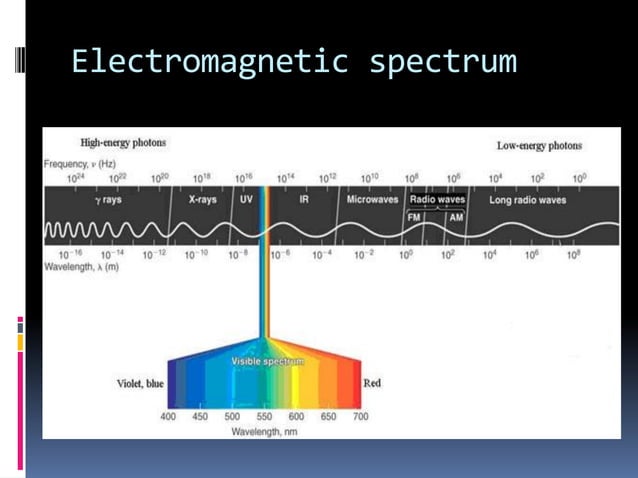 Light: Ecological Parameter and Its Impact on Animals | PDF