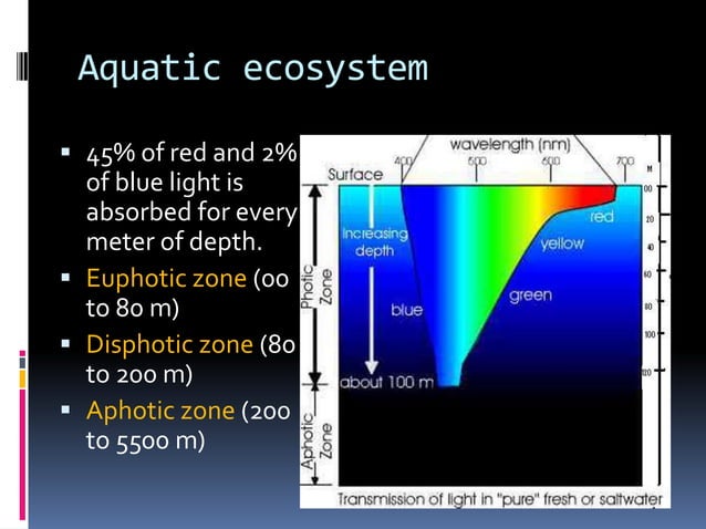 Light: Ecological Parameter and Its Impact on Animals | PDF