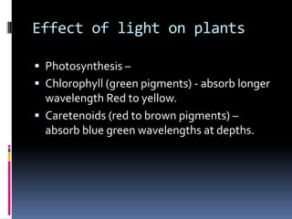 Light: Ecological Parameter and Its Impact on Animals | PDF