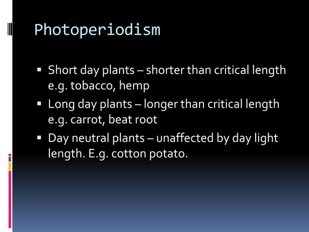 Light: Ecological Parameter and Its Impact on Animals | PDF