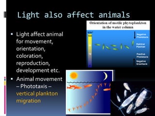 Light: Ecological Parameter and Its Impact on Animals | PDF